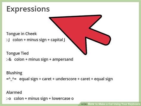 How To Make A Cat Using Your Keyboard 6 Steps With Pictures