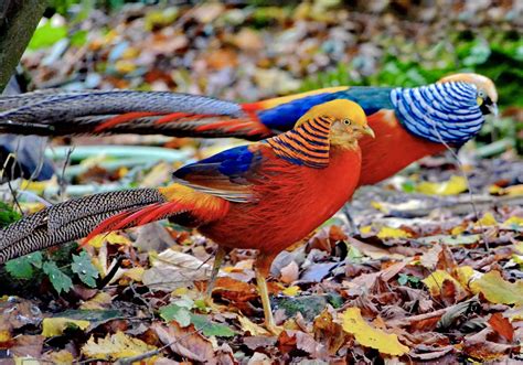 Womens Issues Random Thoughts Page 233 Lpsg