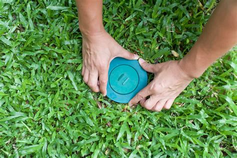 Does Termite Treatment Kill Ants Pest Wisdom