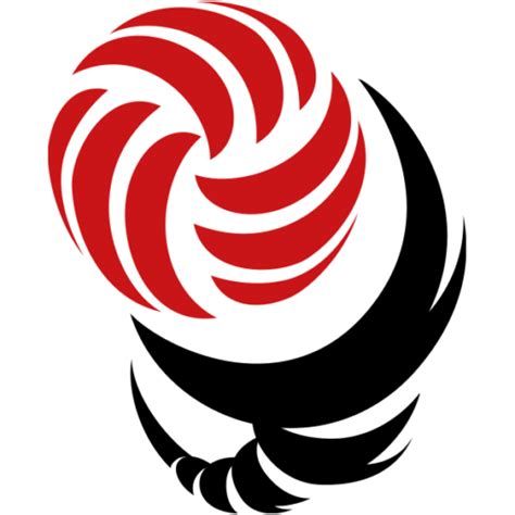 Over Tyfoon Tyfoon Volleybalclub Uit Stadskanaal