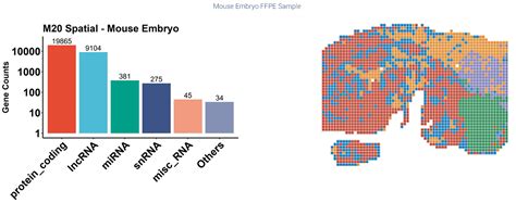 M20 Spatial M20 Genomics