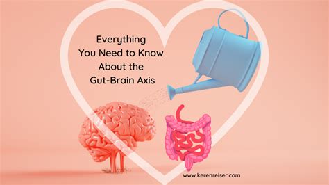 Everything You Need To Know About The Gut Brain Axis Keren Reiser