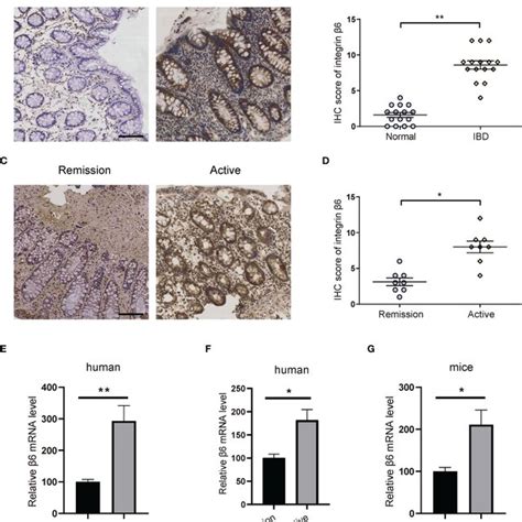 Integrin β6 Expression Became Elevated In Ibd And Was Associated With