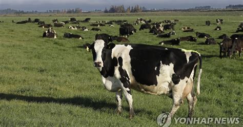 15대 육가공·낙농업체 내뿜는 메탄이 세계 11