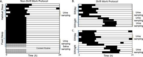 Example Raster Plots For The Protocols Used A Raster Plot Of Sleep Download Scientific