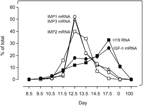H19 Rna Binds Four Molecules Of Insulin Like Growth Factor Ii Mrna