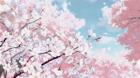 70以上 Aesthetic Anime Background  287268 Aesthetic Anime 