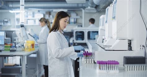 Scientists In Biomedical Laboratory Stock Image F0439120 Science