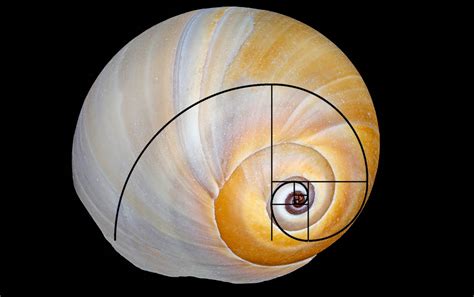 22 Essential Photography Composition Rules