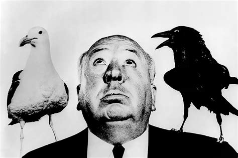 Still Portraits Of Alfred Hitchcock Posing With Birds In Promotion For His Film The Birds
