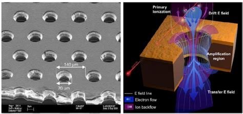 Figure 21 From Microscopic Simulation Of Gem Signals Semantic Scholar