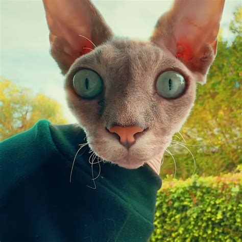 Smooth Tailing • Bug And Tip Youtube