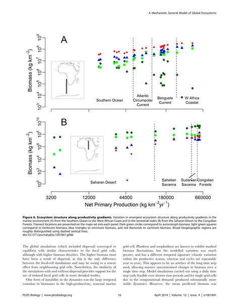 emergent global patterns of ecosystem structure and function form a