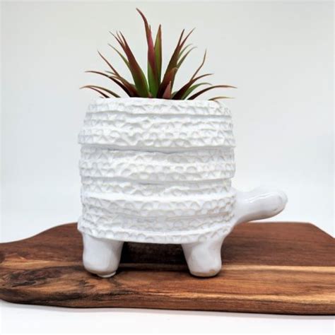 Coastal White Turtle Planter Pot 19cm Dalisay