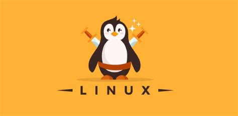Basic Linux Commands Quiz Test Trivia Flashcards And Questions