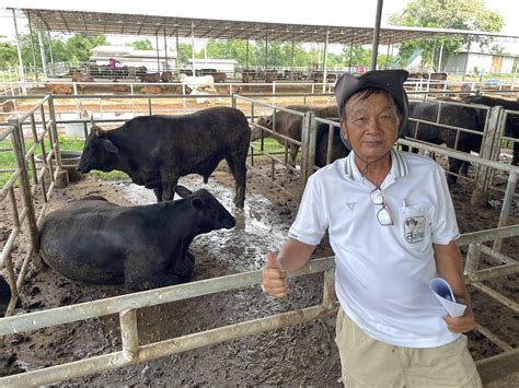 สำนักงานเกษตรอ สำนักงานเกษตรอำเภอบัวลาย จังหวัดนครราชสีมา