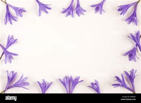 Nature Elements Creating Frame With Plain White Background Slogan