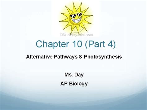 chapter 10 part 4 alternative pathways photosynthesis ms