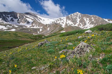 Colorado 14ers Grays Peak And Torreys Peak Photograph By Aaron Spong