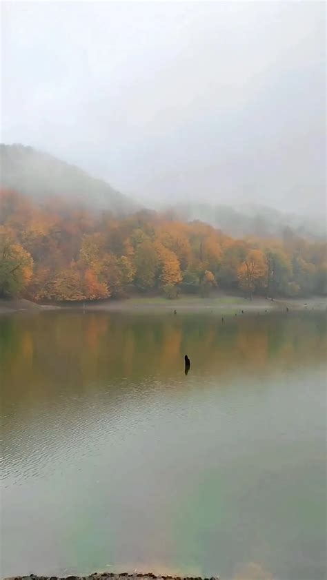 کلیپ عاشقانه باران پاییزی