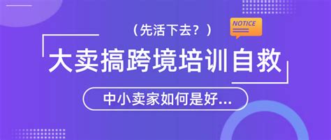 先活下去？百亿大卖出路竟是搞跨境培训自救，有人质疑 知乎