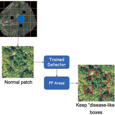 Extraction Of Disease Like Objects Download Scientific Diagram