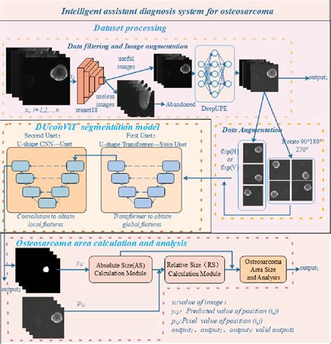 Figure 5 From Intelligent Assistant Diagnosis System Of Osteosarcoma