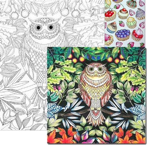 굿텔링 색칠공부 도안 컬러링북 시니어 성인 어른색칠공부 만다라 비밀의정원 위시버킷