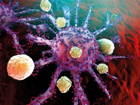 Inflammation And The Immune System Teaching Resources