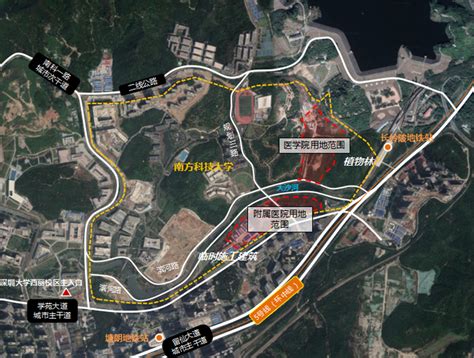 Tender For Schematic Design For Sustech School Of Medicine And Sustech