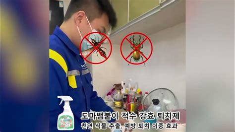 집에서 한 번만 뿌리면 한 달 동안 도마뱀붙이 거미 지네 바퀴벌레 등 작은 생물이 집 안에 나타나지 않습니다 Youtube