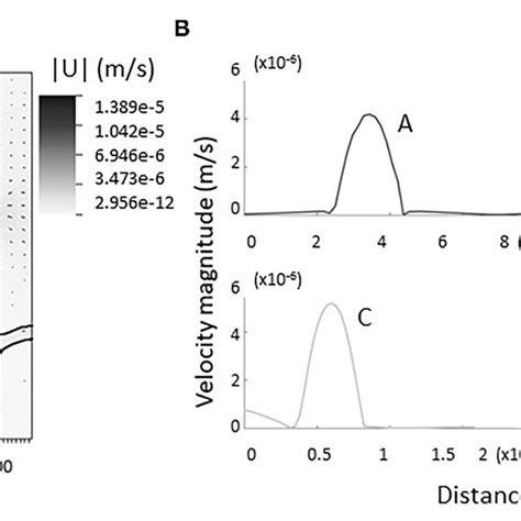Computational Model Of Lymph Flowing Through Larger Network Of Dermal