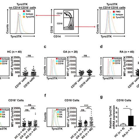 Gating Strategy For Flow Cytometry Sorting Of Human Cd14⁺cd16⁺ And Download Scientific Diagram