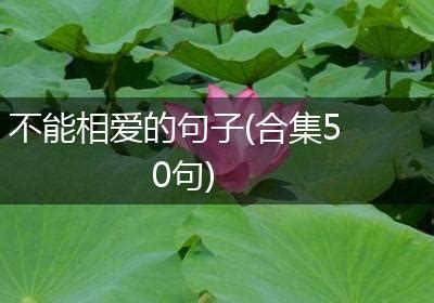 不能相爱的句子 合集50句
