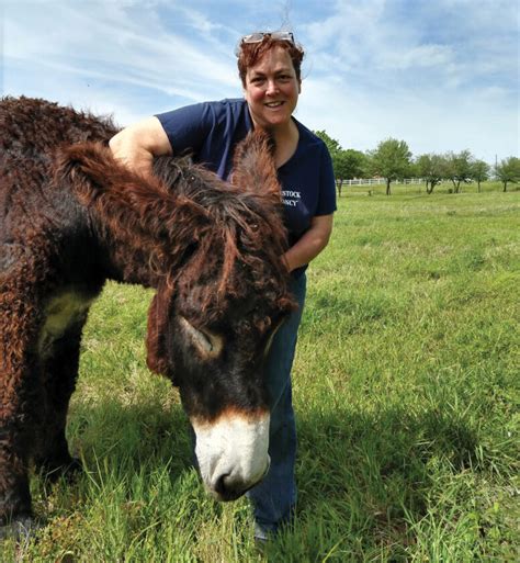 Poitou Donkeys Grit
