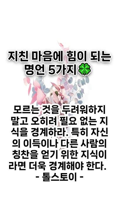 지친 마음에 힘이 되는 명언 5가지 명언 좋은글 지혜 삶의지혜 인생조언 Youtube