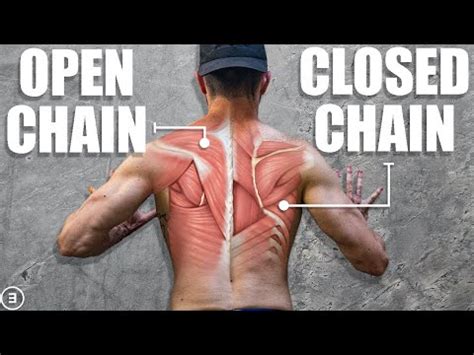 What Are Open Chain And Closed Chain Exercises Read It Here