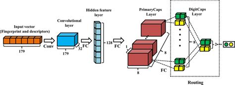 Architecture Of Convolution Capsule Networks Conv Capsnet The Input
