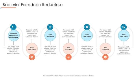 Bacterial Ferredoxin Reductase In Ppt Powerpoint Presentation Slide