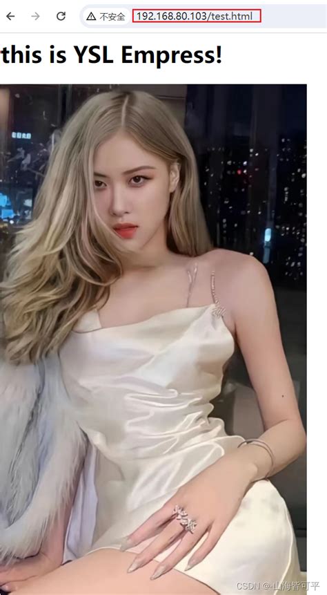 【web缓存】nginx和cdn应用 Csdn博客