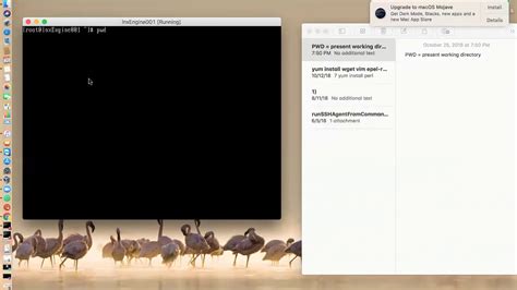 Creating Files And Directories On Linux Youtube