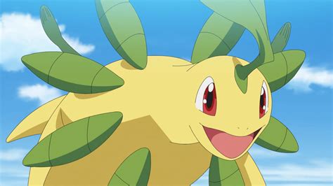 Ashs Bayleef Pokémon Wiki Fandom Powered By Wikia