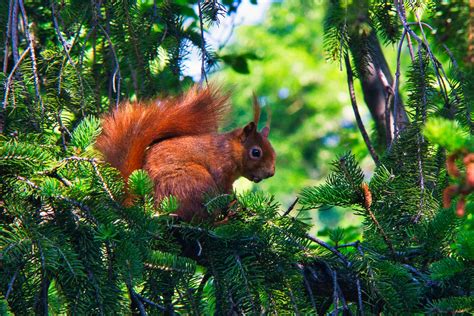 Ionic React And Auth0 — Config What Is Auth0 By Bratislav Ljubisic