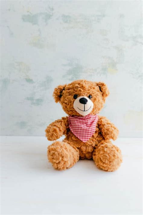 갈색곰 인형 곰 인형 귀여운 장난감 껴안고 싶은 장난감 놀이방 액세서리 미니멀 보육 장식 봉제 인형 봉제 장난감 봉제완구 부드럽고 포근하다 빨간색 스카프