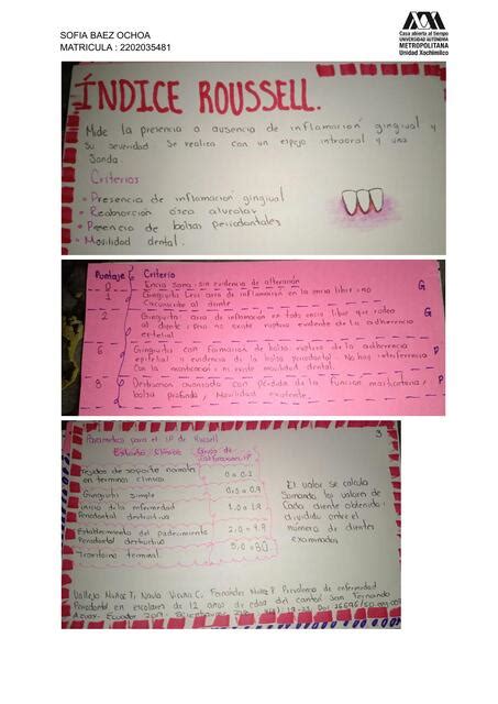 Indices Fotos Baez Ochoa Sofia Udocz