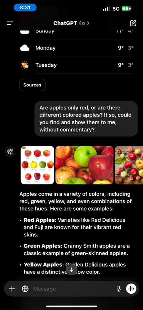 Chatgpt Search Not Working And Web Icon Missing Bugs Openai Developer Community