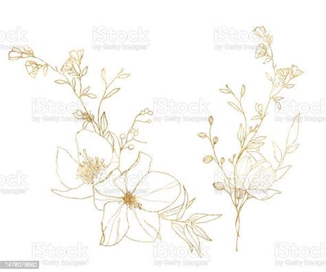 백합 연꽃 목련 장미 라넌큘러스의 수채화 금 선형 꽃다발 손으로 그린 초원 꽃과 잎은 흰색 배경에 고립되어 있습니다 디자인 인쇄 또는 배경에 대 한 꽃 그림입니다 0명에