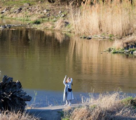 Leacuri Batranesti Pentru Paduchi Olivo