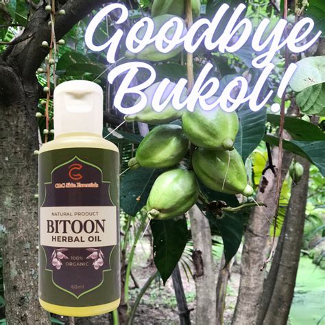 Bitoon Herbal Oil For Bukol Original And Effectivesea Poison Tree Oil