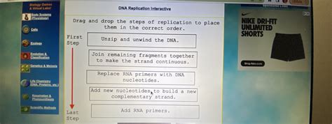 Solved Dna Replication Interactive Drag And Drop The Steps